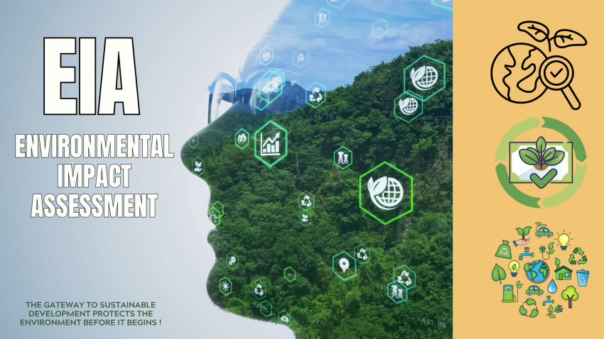 Green Future - The Importance of EIA (Environmental Impact Assessment)
